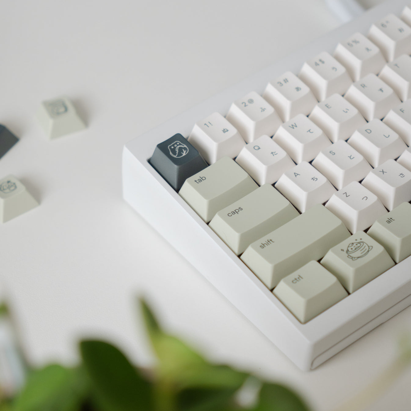 matcha keycaps – osume